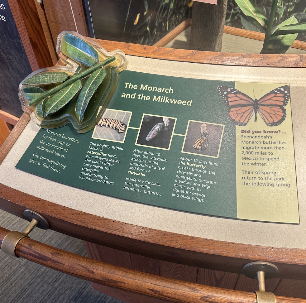 Shenandoah National Park in August – An Outdoor Life